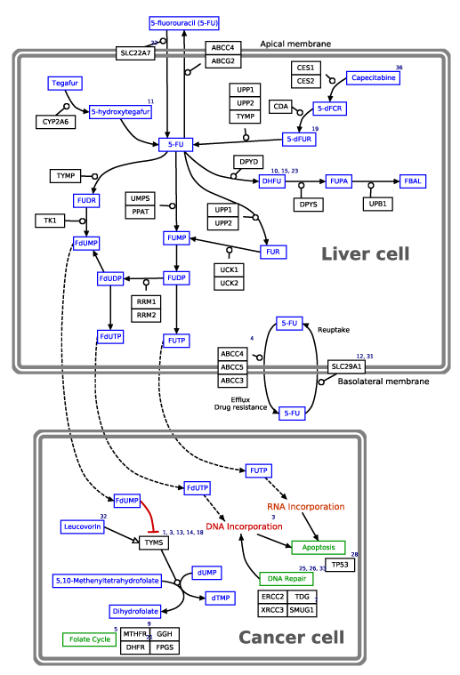 NRNB: WikiPathways