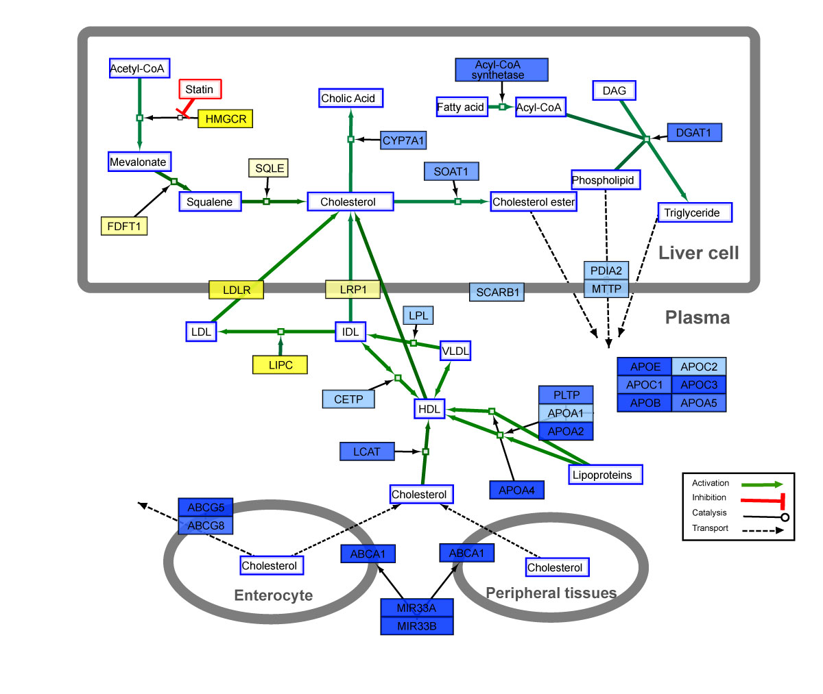 NRNB: WikiPathways
