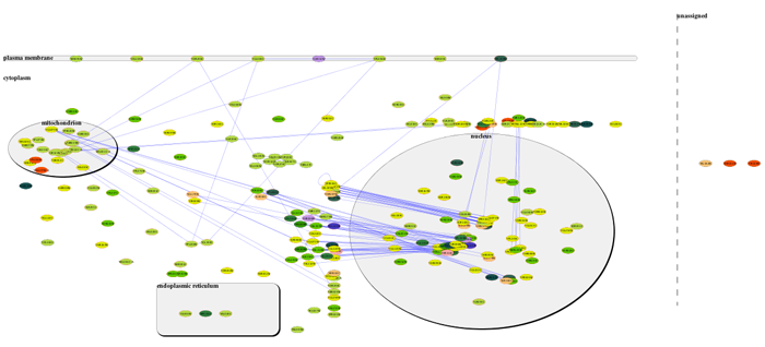 NRNB: Mosaic