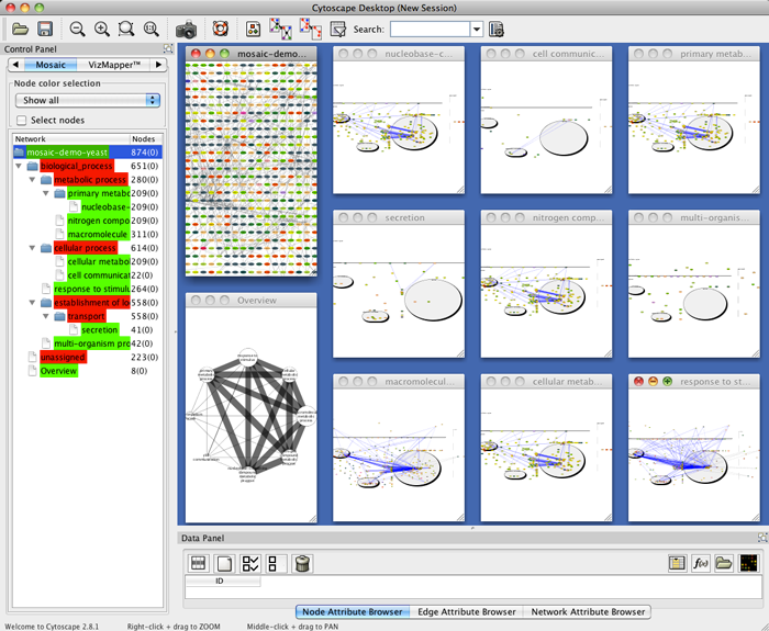 NRNB: Mosaic